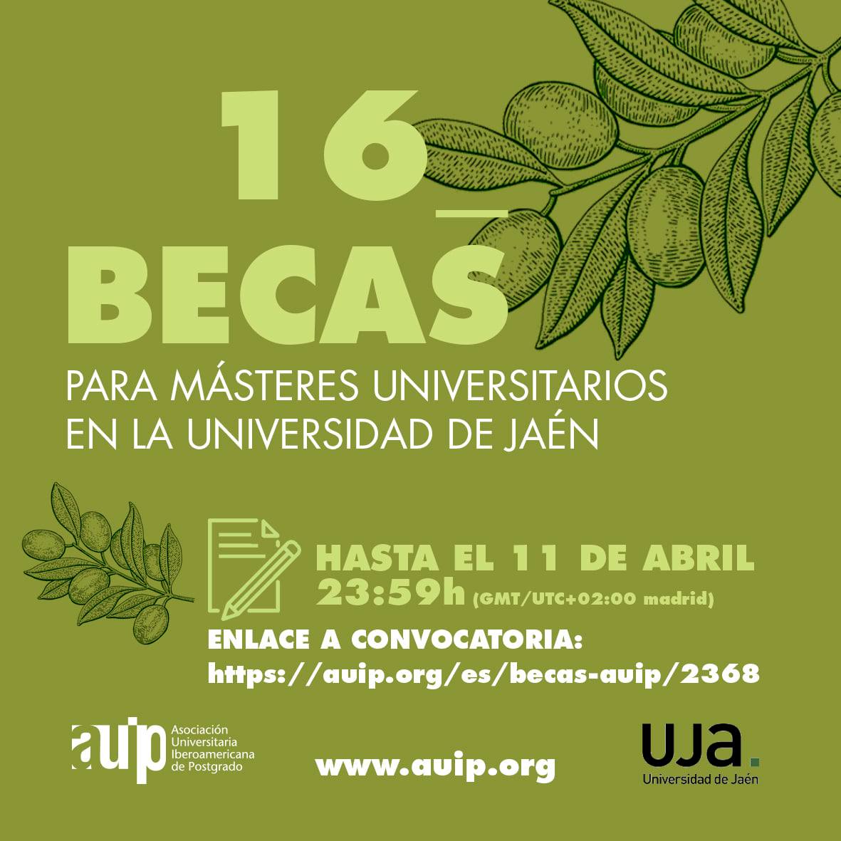 Becas para cursar Másteres Universitarios en la Universidad de Jaén 2022 – INDES | Instituto de ...